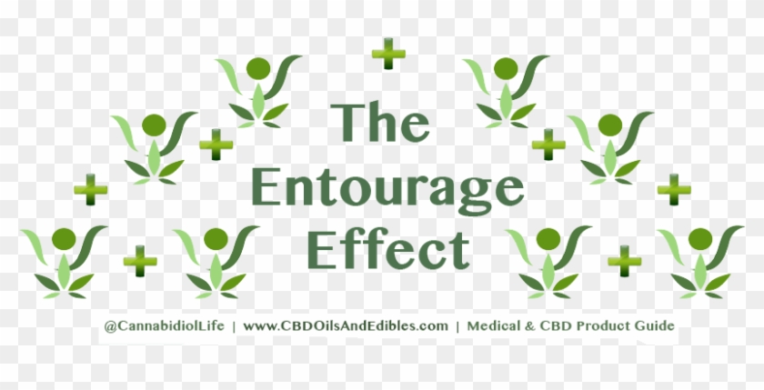 Entourage Effect - Free Transparent PNG Clipart Images Download