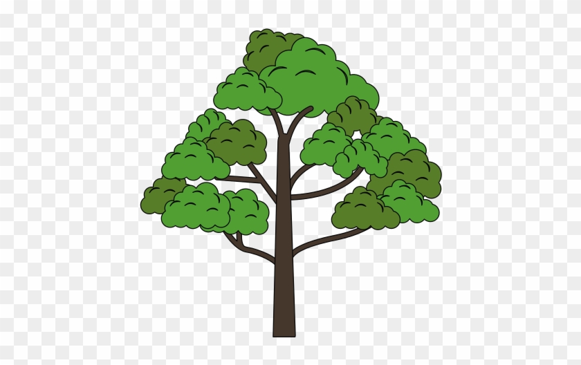 Realistic Tree Icon Image - Vector Graphics - Free Transparent PNG ...