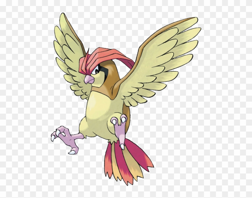 Pidgeotto - Pokemon Pidgeotto - Full Size PNG Clipart Images Download