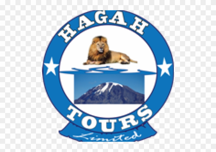 - Hagah Tours Limited - Masai Lion - Full Size PNG Clipart Images Download