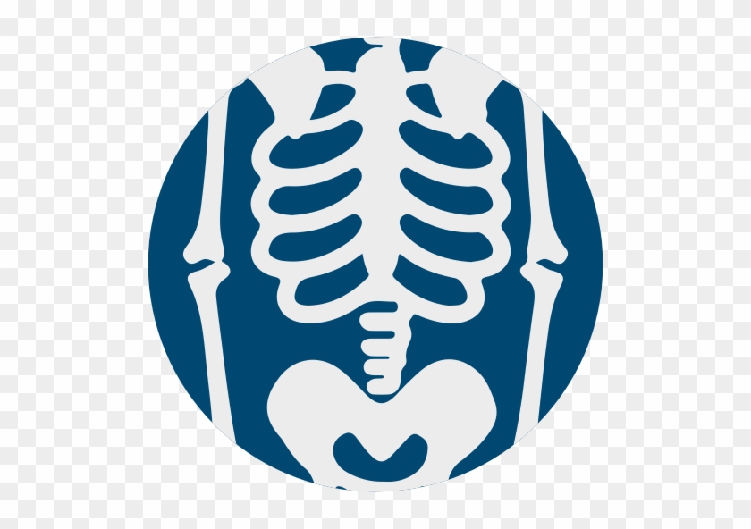 Halloween Free Set - Skeleton Icon Png - Full Size PNG Clipart Images ...