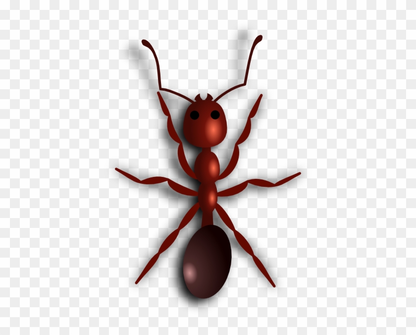Fire Ant Clip Art At Clker - Ant Clip Art - Full Size PNG Clipart ...