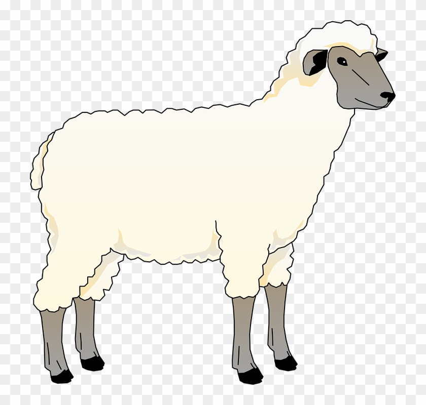 Farm Animals Sheep Clipart - Full Size PNG Clipart Images Download