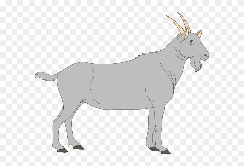 Digestive System Of A Goat - Full Size PNG Clipart Images Download