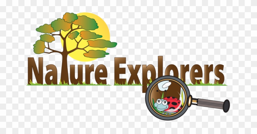 Nature Explorers - One Piece - Full Size PNG Clipart Images Download