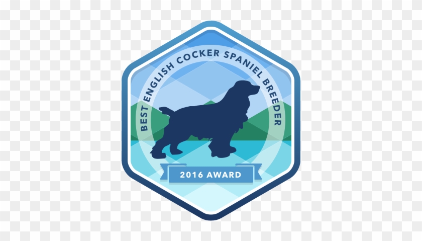 Field Bred English Cockers - Cat - Free Transparent PNG Clipart Images ...