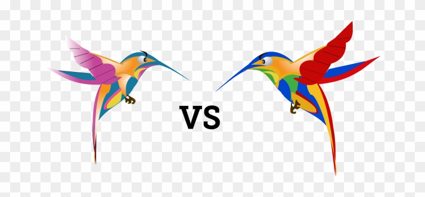 Google Hummingbird Free Image Thoughtshift - Hummingbird - Full Size ...