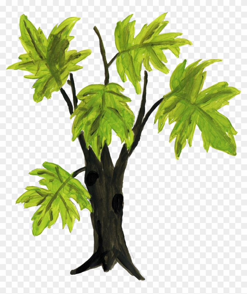 4 Tree Drawing Png Transparent Onlygfxcom - Drawing - Free Transparent ...