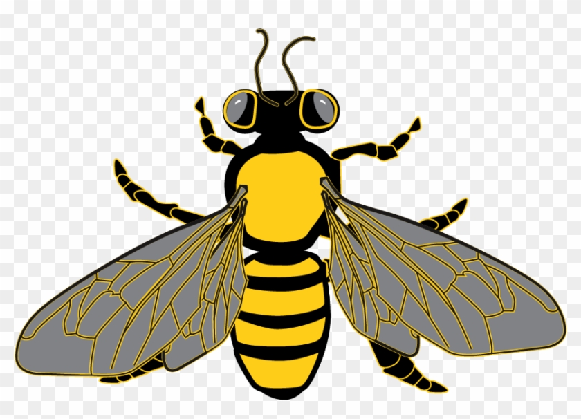 Bee Graphic From Clipart Package - Bee Transparent Background Clipart ...