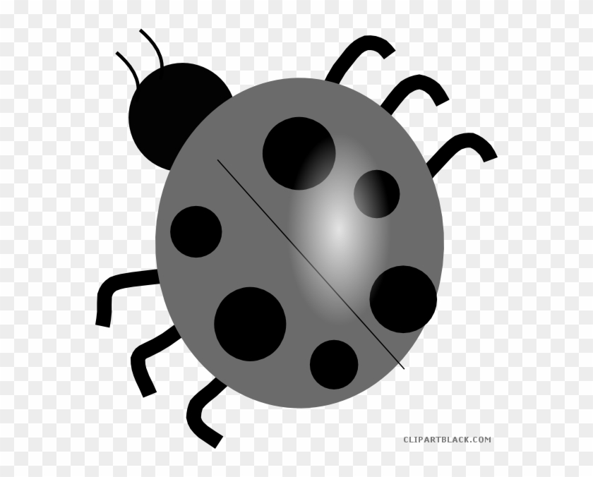 Wonderful Ladybug Animal Free Black White Clipart Images - Lady Bug ...