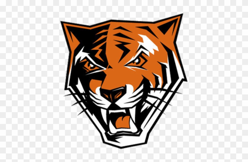 Buffalo State Women's Basketball Gets First Postseason - Buffalo State ...