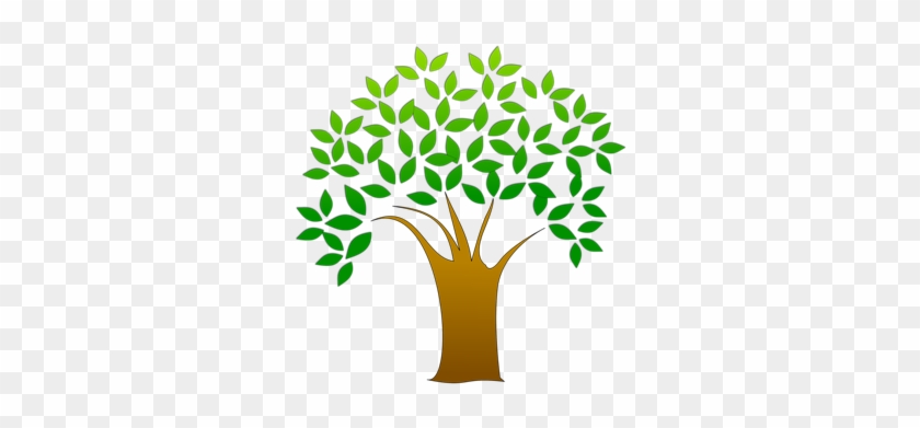 Plants Are Observable And Concrete Objects - Tree Clipart Transparent ...
