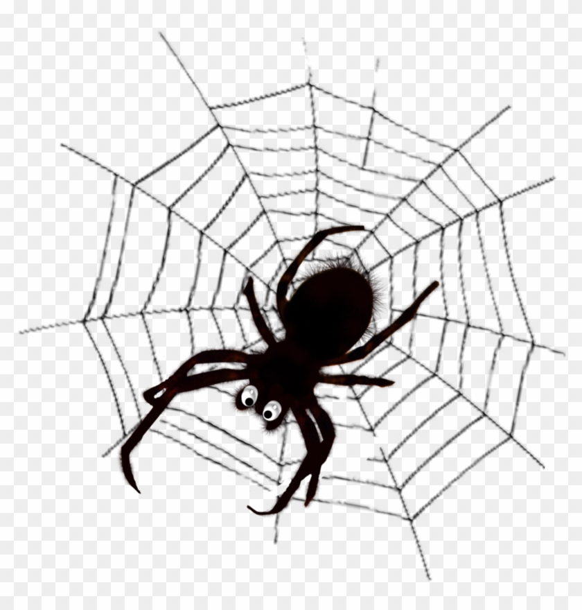 Spider Web Clip Art - Spider - Full Size PNG Clipart Images Download