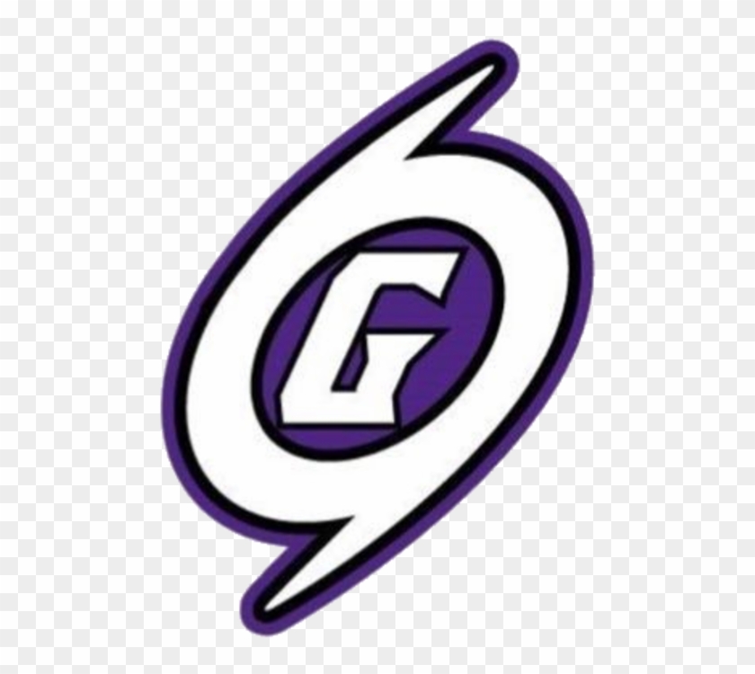 Gainesville Logo - Gainesville High School Logo - Full Size PNG Clipart ...