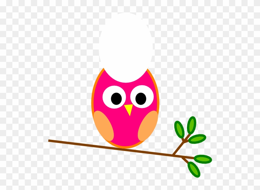 Gambar Owl Cartoon - Owl Clip Art - Full Size PNG Clipart Images Download