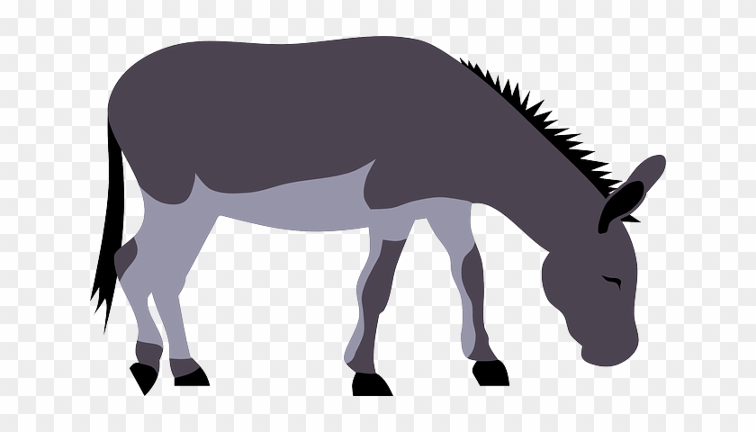 Animal Donkey Farm Grassing Gray Cute Grey - Donkey Png Clip Art - Full ...