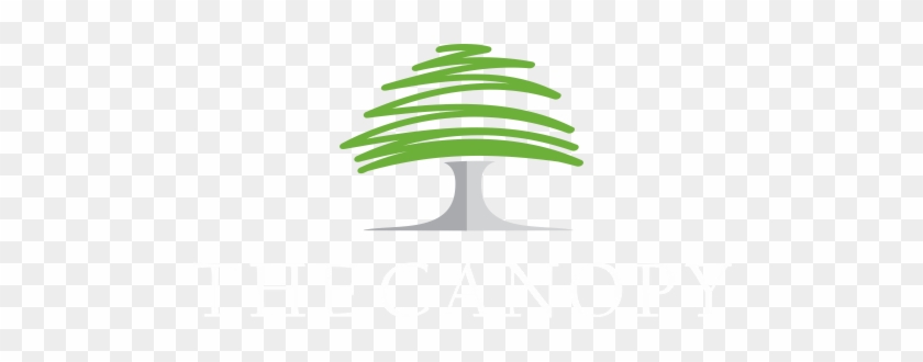 The Canopy - Oaktree Icon - Full Size PNG Clipart Images Download