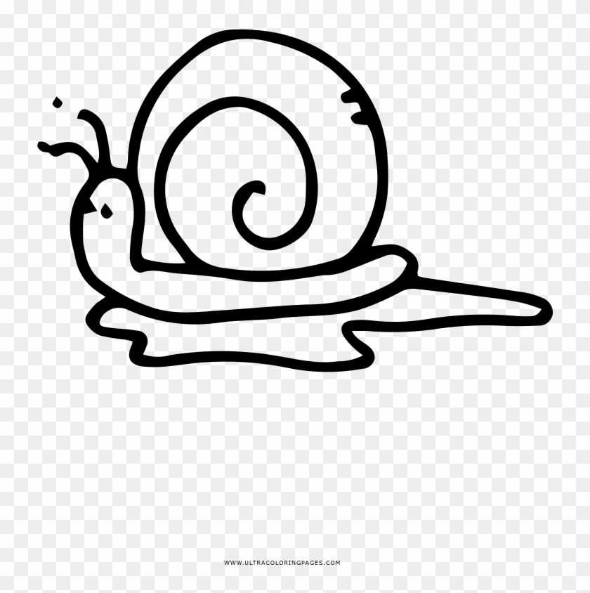 Snail Coloring Page - Drawing - Full Size PNG Clipart Images Download
