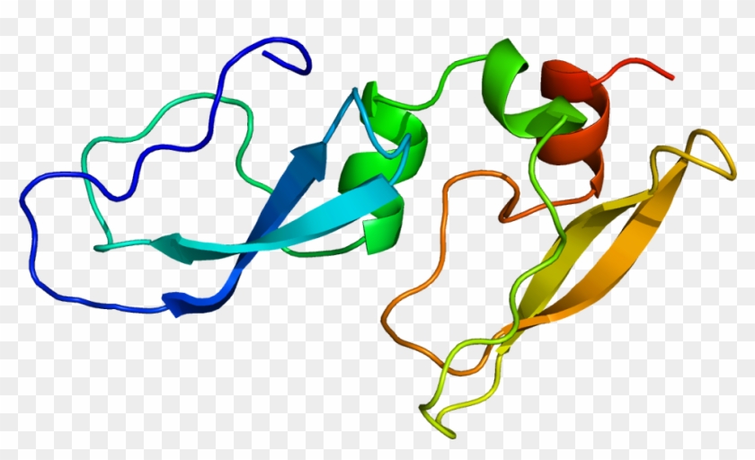 Alpha 1 Microglobulin Structure - Full Size PNG Clipart Images Download