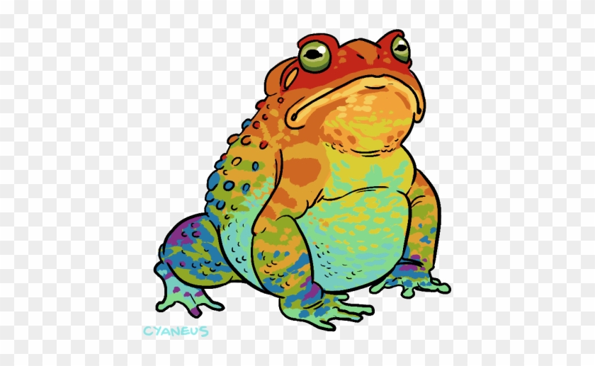 Image Image - American Toad - Full Size PNG Clipart Images Download