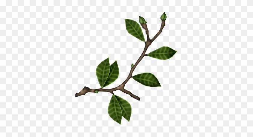 Tubes Vegetation - Clip Art - Free Transparent PNG Clipart Images Download