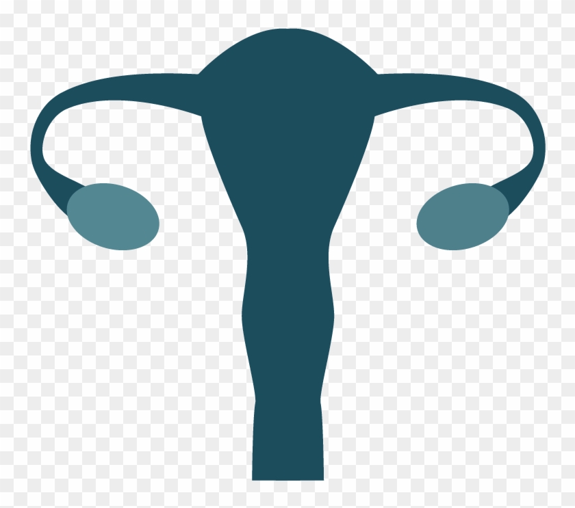 Obstetrics And Gynaecology - Obstetrics And Gynaecology - Full Size PNG ...