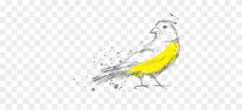 Bird - Free Transparent PNG Clipart Images Download