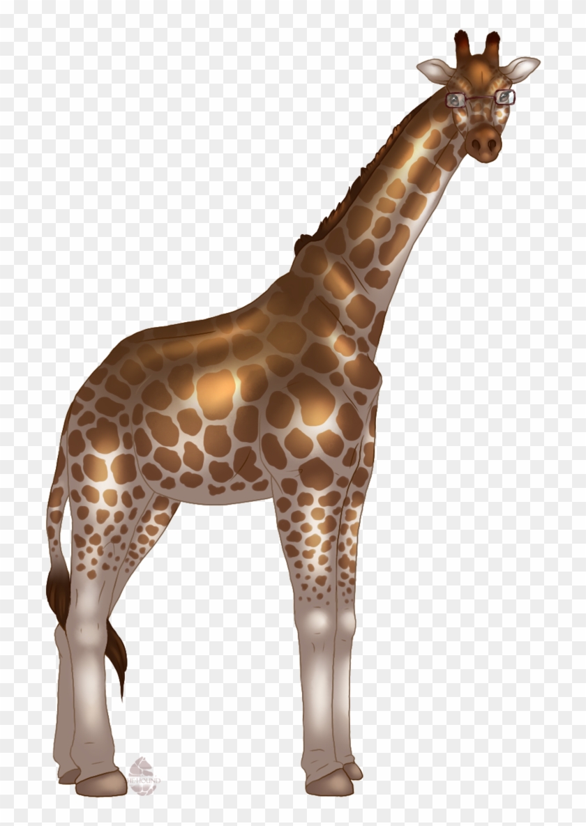 Full Body Shaded , - Giraffe - Free Transparent PNG Clipart Images Download