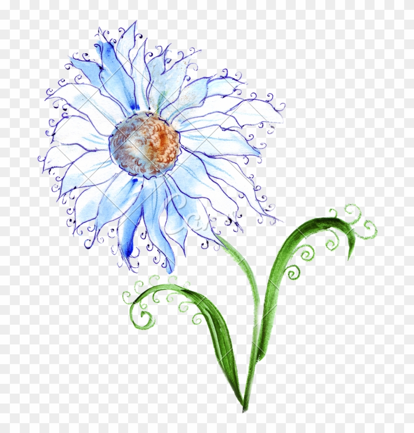 Hand Drawing Of Chamomile Flowers - Chrysanths - Free Transparent PNG ...