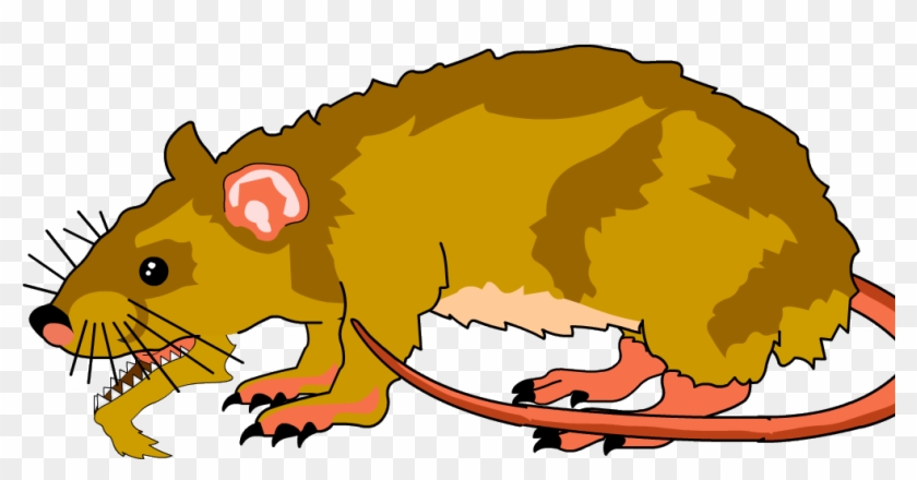 Huge Rat - Huge Rat - Free Transparent PNG Clipart Images Download