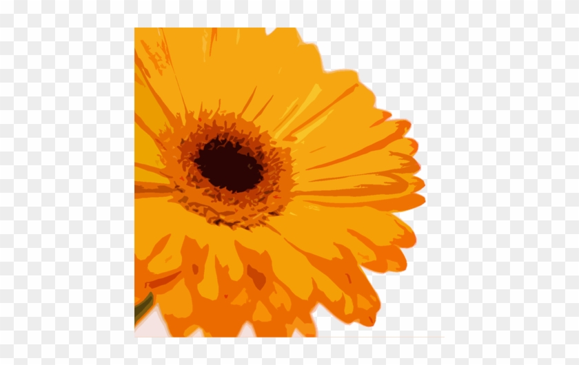 Flower - Blog - Free Transparent PNG Clipart Images Download
