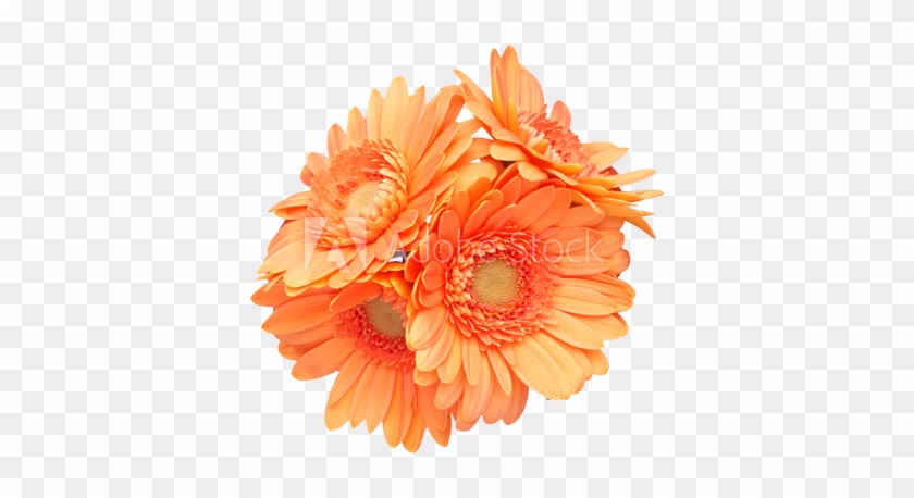 Flowers Unique - Flowersunique - Free Transparent PNG Clipart Images ...