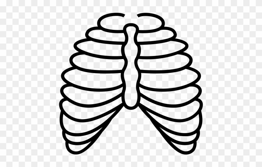 Download Png File 512 X - Torax Vector - Free Transparent PNG Clipart ...