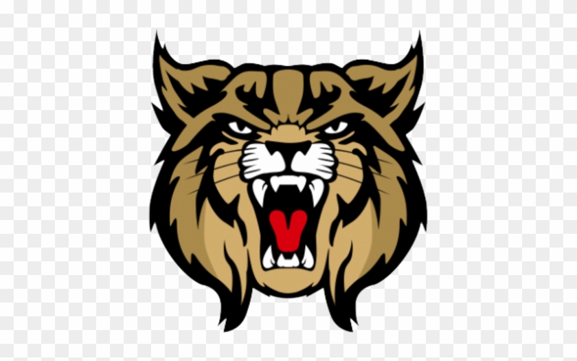 Brookings Logo - Brookings High School Bobcats - Full Size PNG Clipart ...