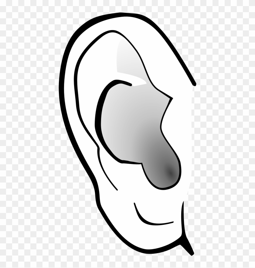 Ear Clipart - Ear Clipart - Full Size PNG Clipart Images Download