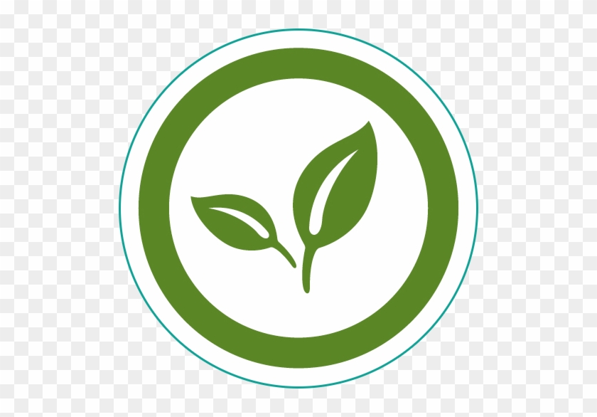 Environmental Wellness - Environmental Dimension Of Wellness - Full ...