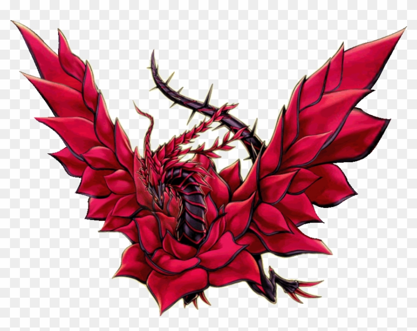 Black Rose Dragon