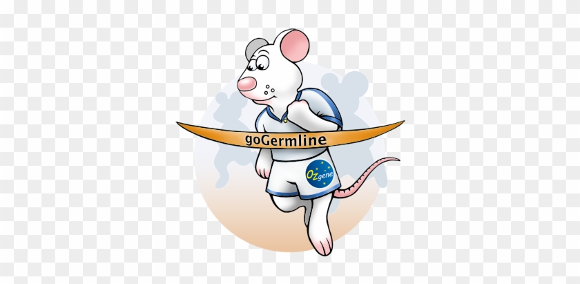 Gogermline The First Time - Cartoon - Free Transparent PNG Clipart ...