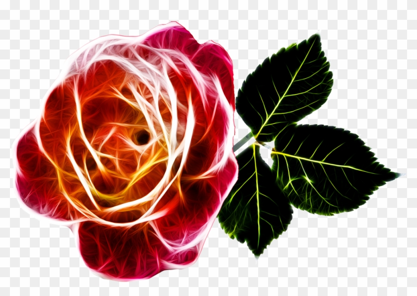 Ystävänpäivä Ruusu - Free Transparent PNG Clipart Images Download
