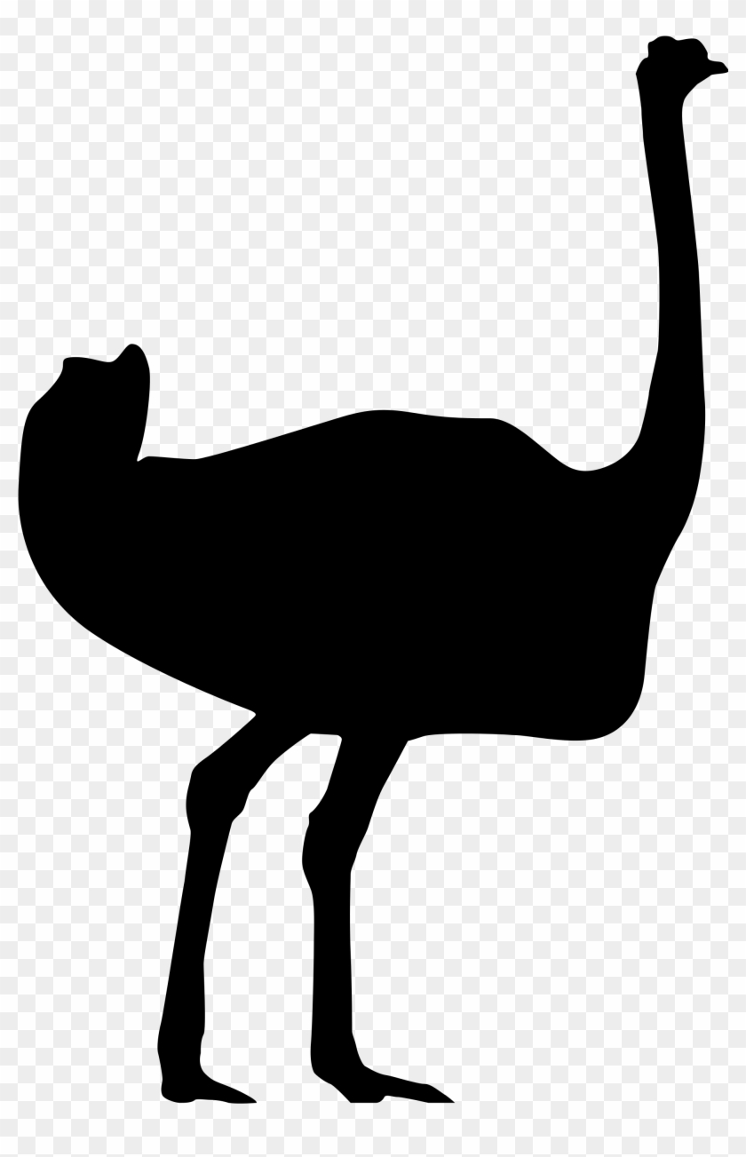 Open - Wikimedia Commons - Free Transparent PNG Clipart Images Download