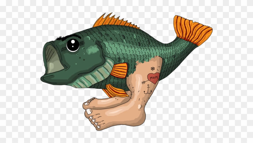 Perch - Free Transparent PNG Clipart Images Download