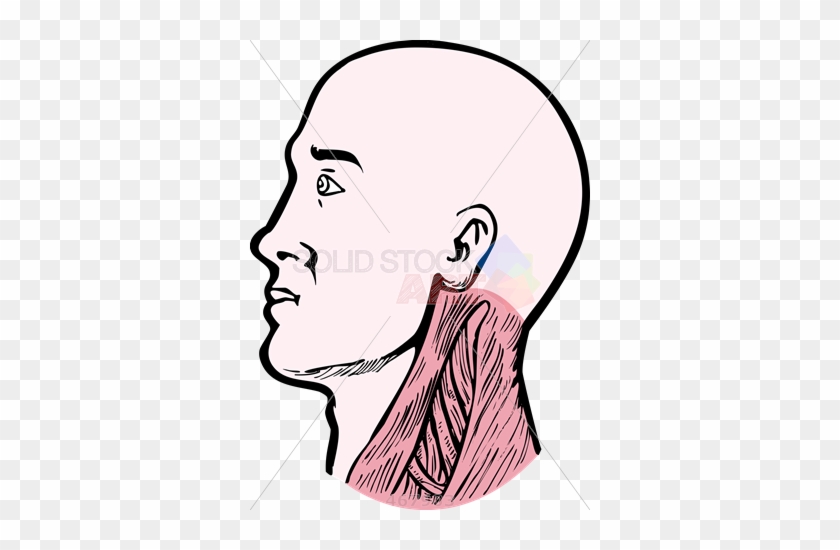 Stock Illustration Of Old Fashioned Cartoon Drawing - Head And Neck ...