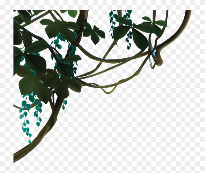 Dschungel Png - Free Transparent PNG Clipart Images Download