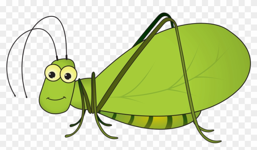 Kevin The Katydid - Grasshopper - Full Size PNG Clipart Images Download