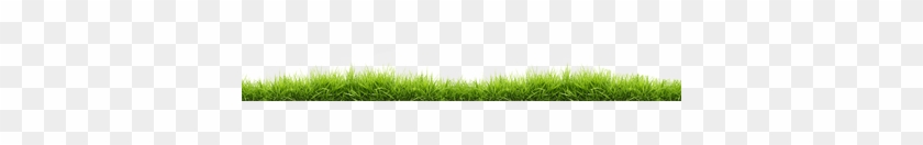 Lawn Clipart Small Grass - Grass - Full Size PNG Clipart Images Download