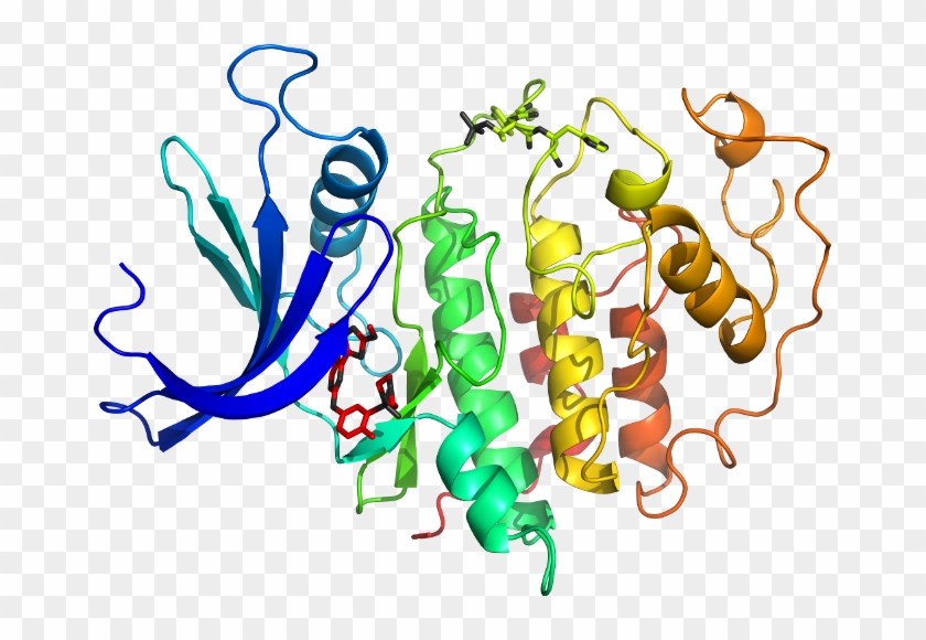 Graphic Design Clip Art - Graphic Design Clip Art - Free Transparent ...