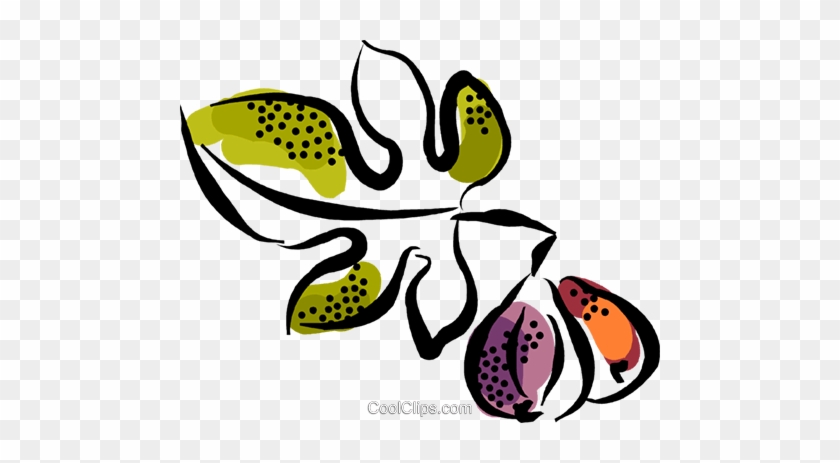 Figs Royalty Free Vector Clip Art Illustration - Figs Royalty Free ...