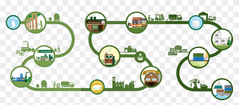 Natural Rubber Process - Natural Rubber Production Process - Full Size ...
