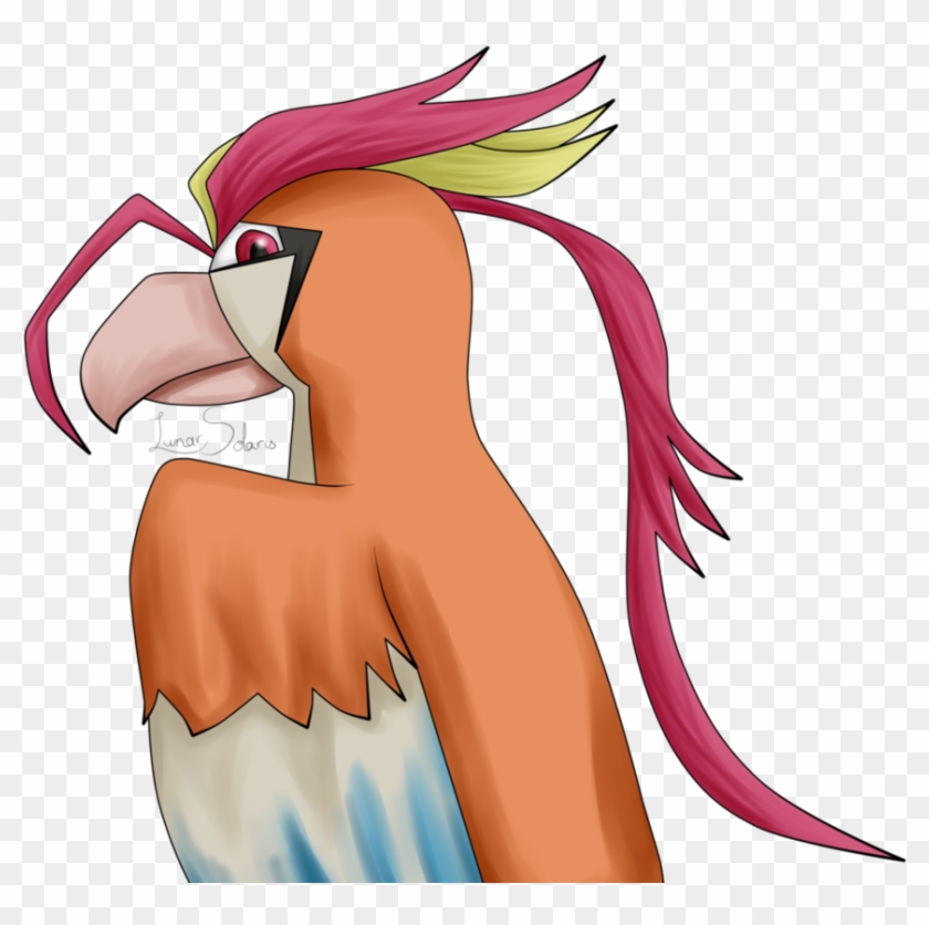 Pokemon Mega Pidgeot Card Images - Cartoon - Free Transparent PNG ...