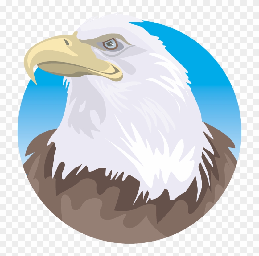 Bald Eagle - Clip Art - Free Transparent PNG Clipart Images Download